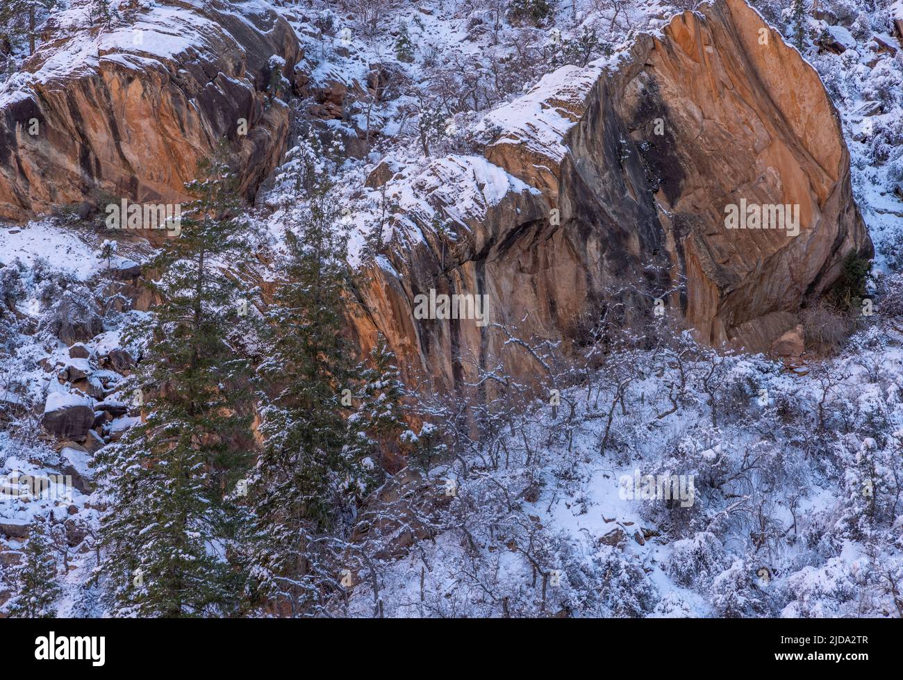 Zion National Park Utah Winter Landscape Stock Photo - Alamy