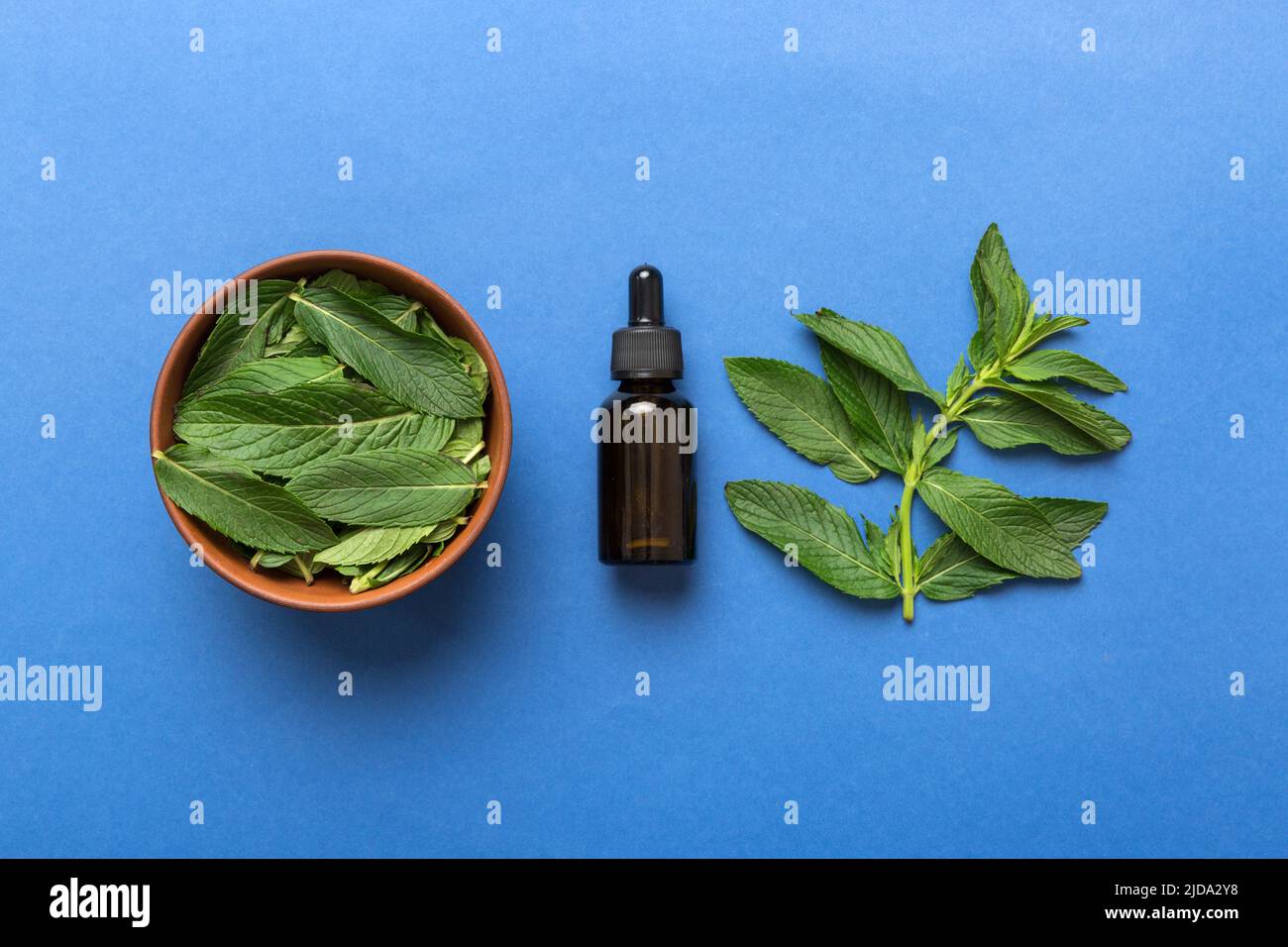 Natural Mint Essential Oil in a Glass Bottle. organic cosmetics with ...
