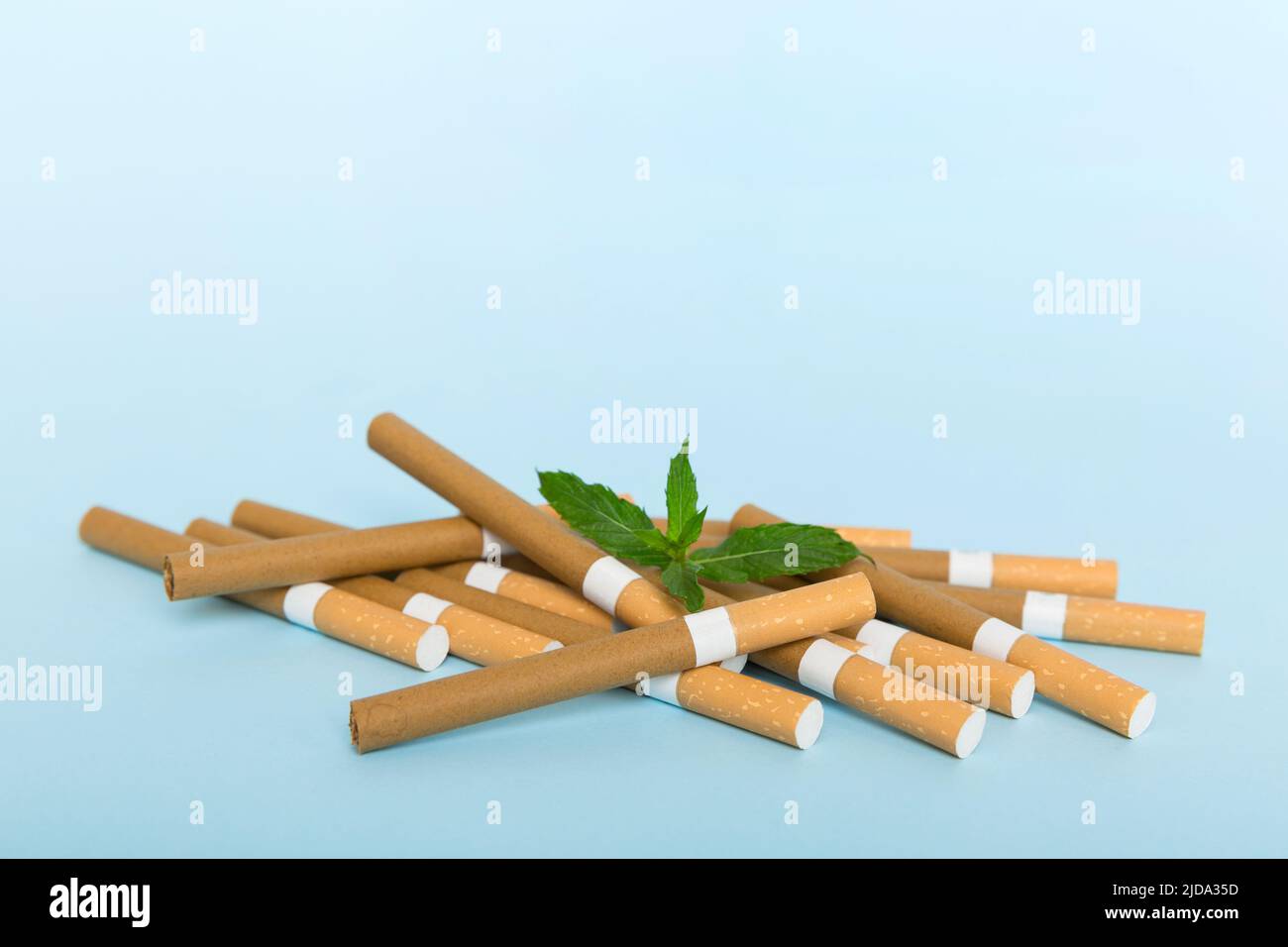 Menthol cigarettes and fresh mint leaves on colored background, Many ...