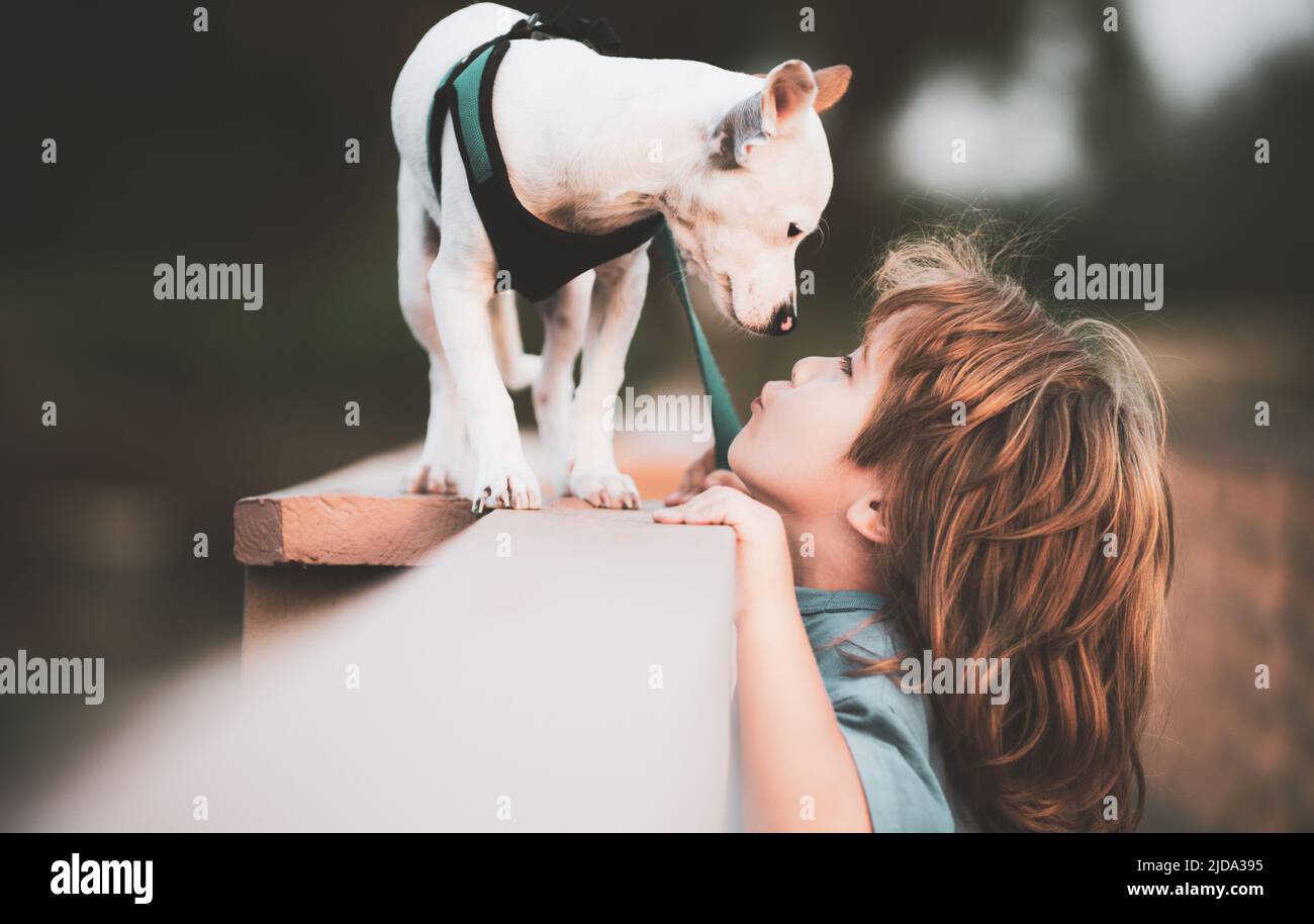 Cute child boy kiss puppy, feels delighted, pleasure, carries little ...