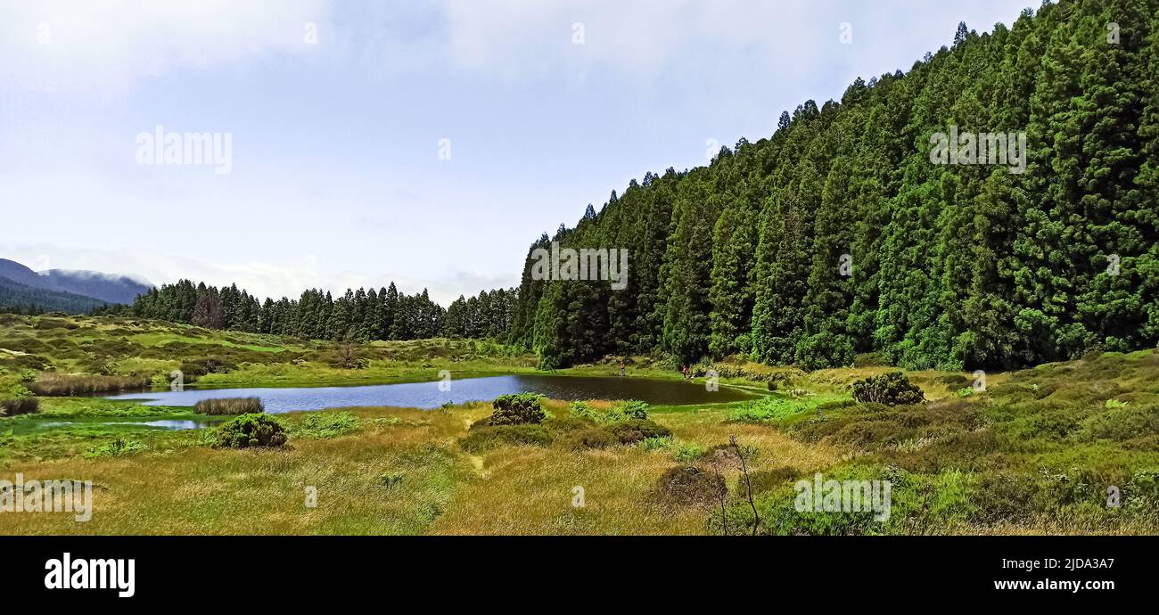 Landscape from the Azores dense vegetation and incredible views of the ...