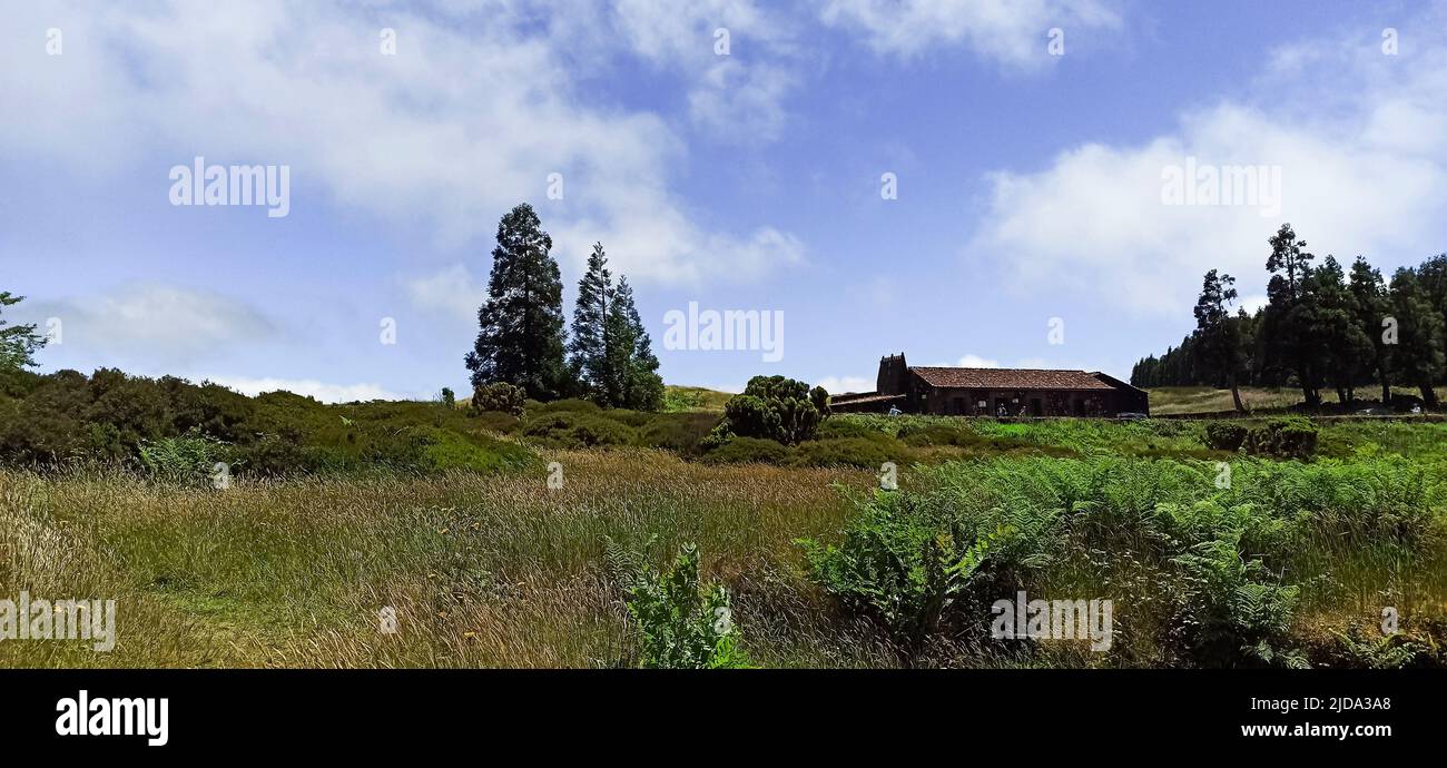 Landscape from the Azores dense vegetation and incredible views of the ...