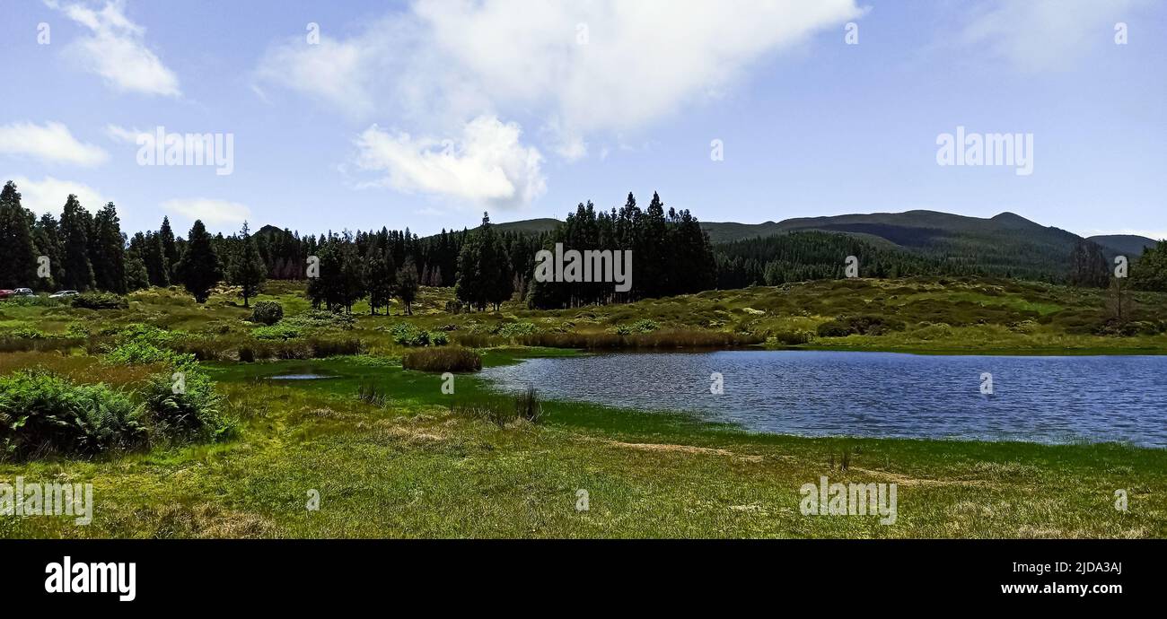 Landscape from the Azores dense vegetation and incredible views of the ...