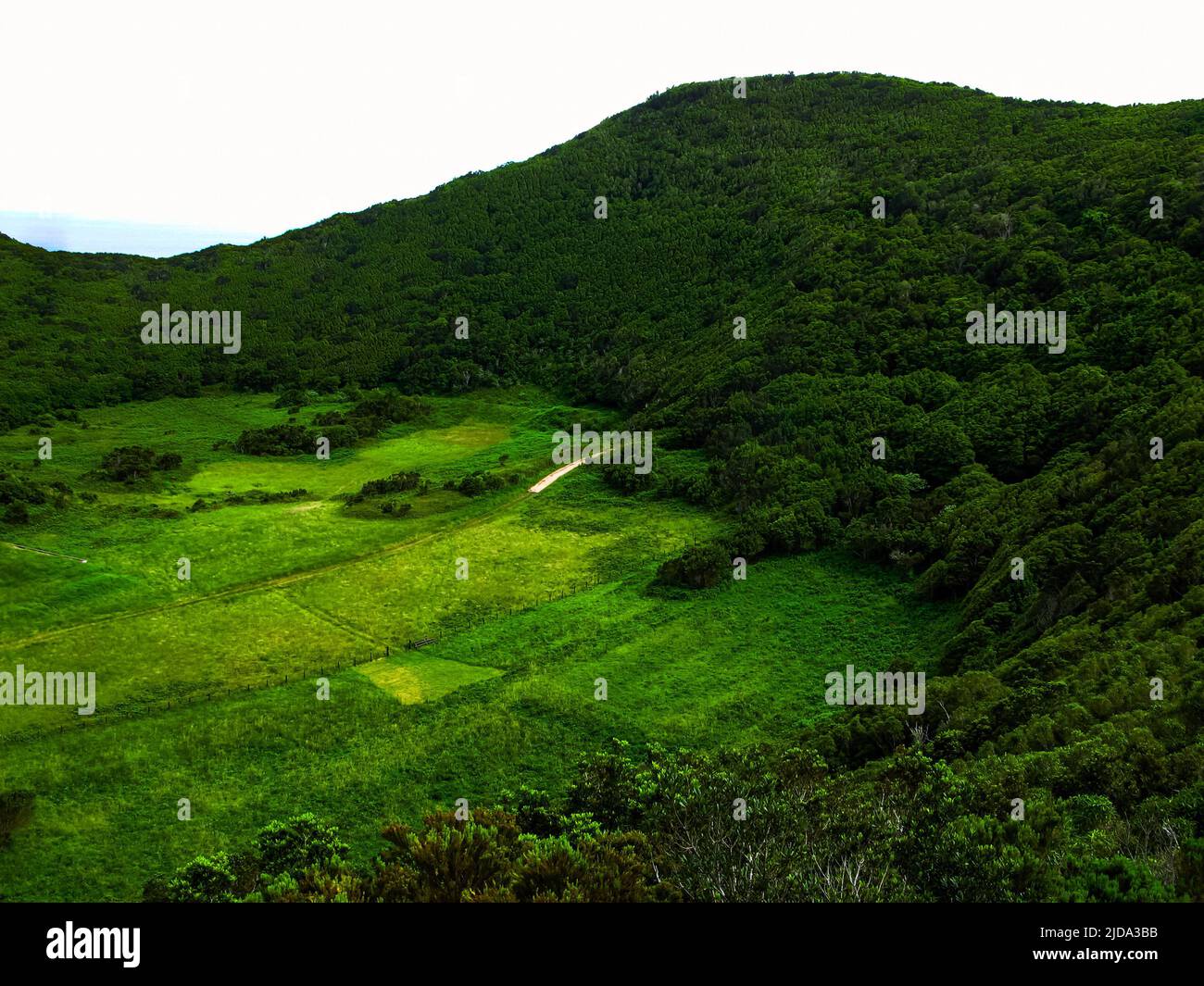 Landscape from the Azores dense vegetation and incredible views of the ...