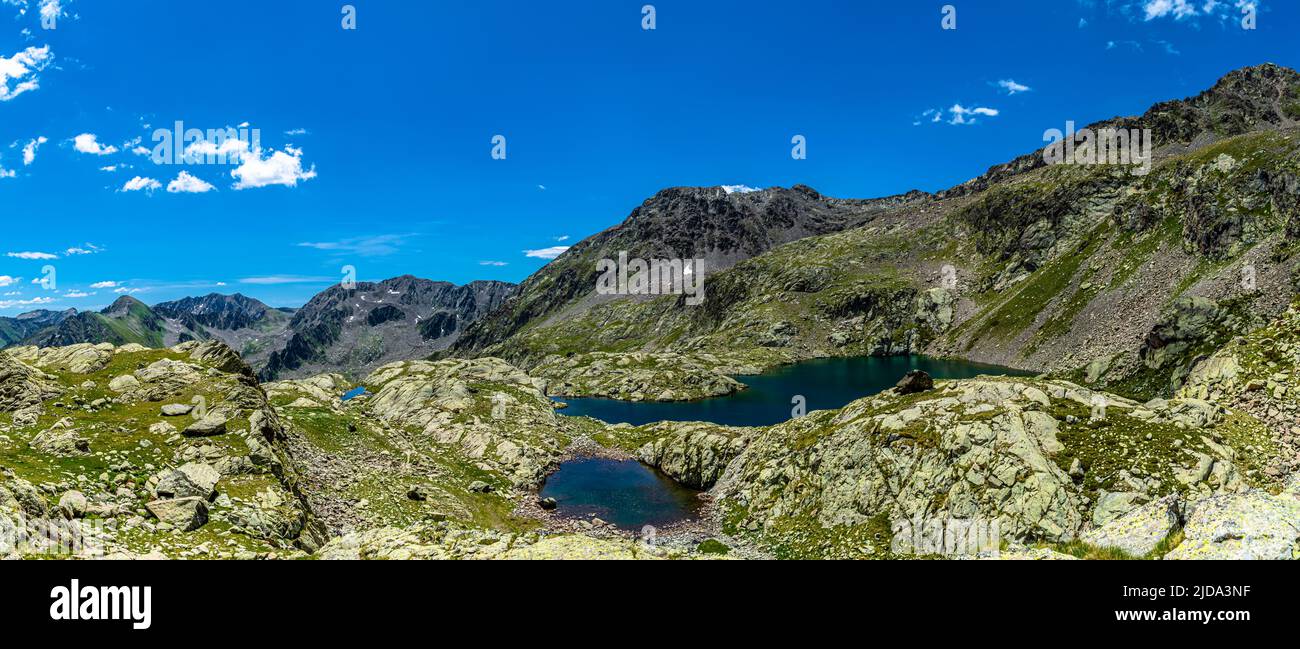 The flowering of rhododendrons, the Lausfer lakes and the Corborant ...