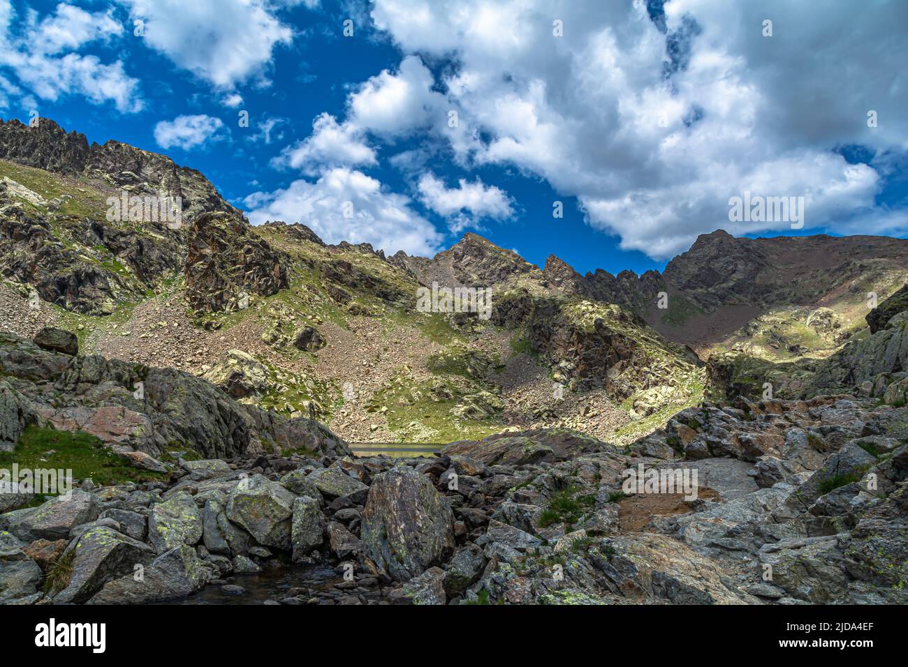 The flowering of rhododendrons, the Lausfer lakes and the Corborant ...