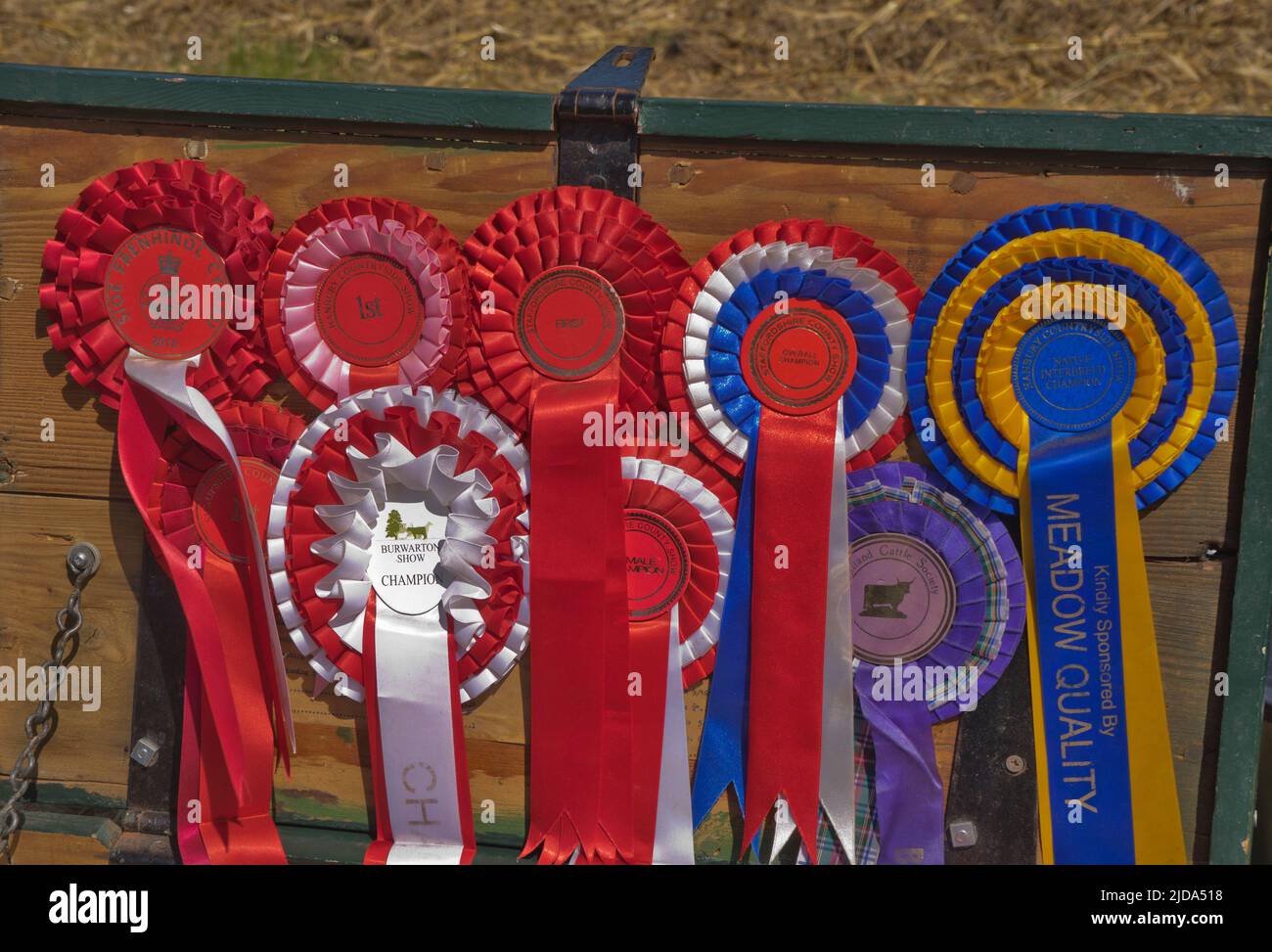 Bag with display of prizes at the Aberystwyth and Ceredigion County ...