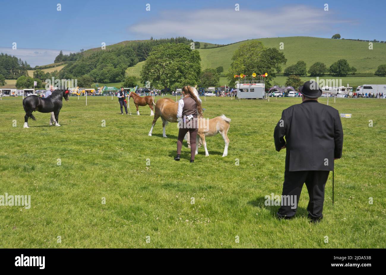 Farmers, visitors and judges at the Aberystwyth and Ceredigion County ...