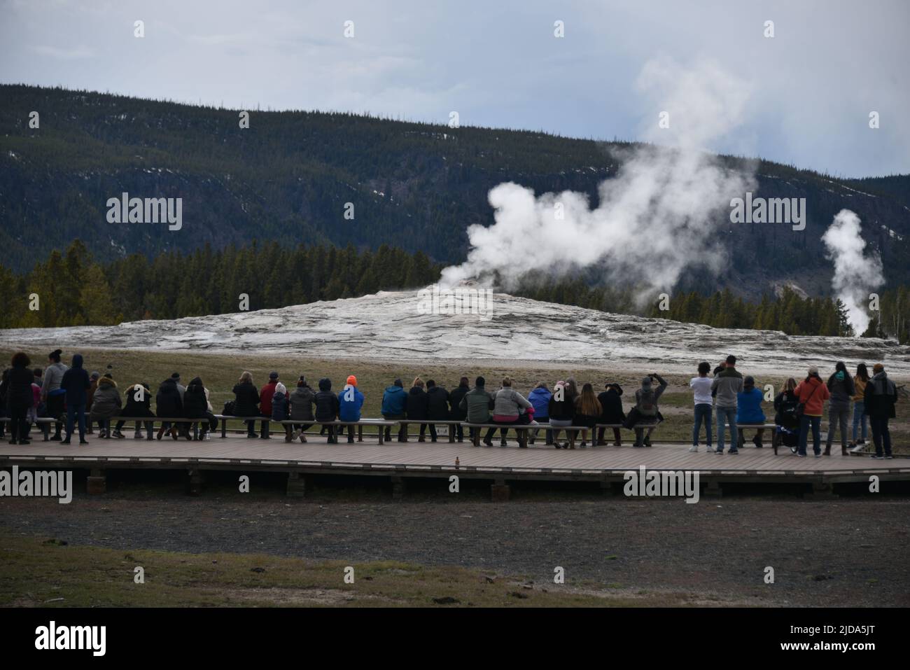 Yellowstone National Park. USA. 5/21-26/2022. Old Faithful Geyser ...