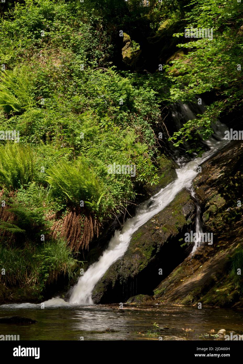 Ystwyth river devil's bridge hi-res stock photography and images - Alamy
