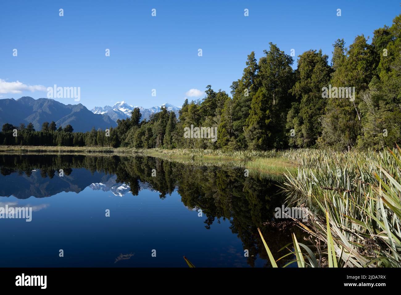 Leading line of forest edge of Lake matheson with Southern Alps and perfect reflection, South ...
