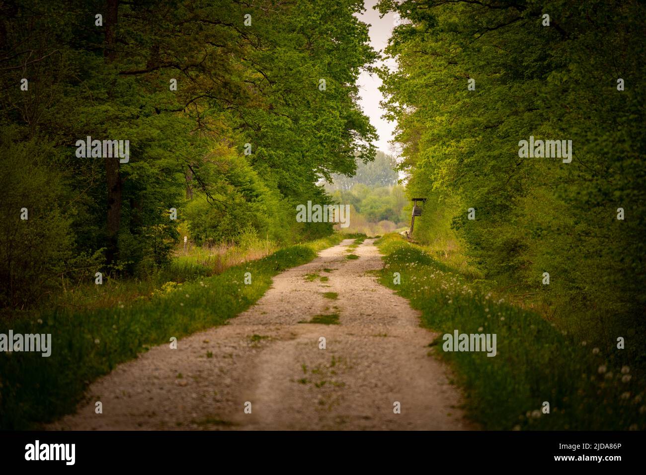 Endless gravel dirt road passing through the ancient hunting grounds of ...