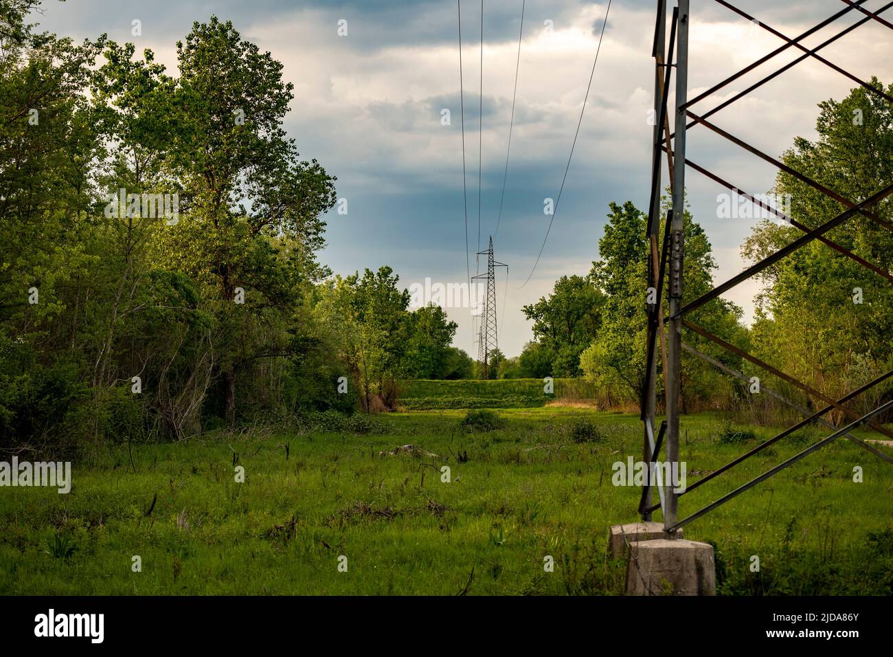 Power line corridor passing through the dense, green landscape and ...