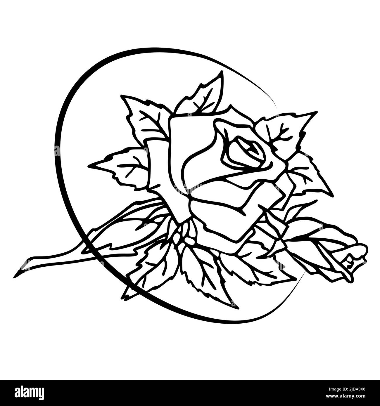 black and white graphic drawing of a rose, contour flower, antistress ...