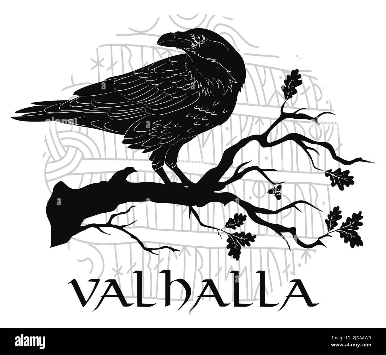 Black crow sitting on a branch of an oak tree, and Scandinavian runes ...
