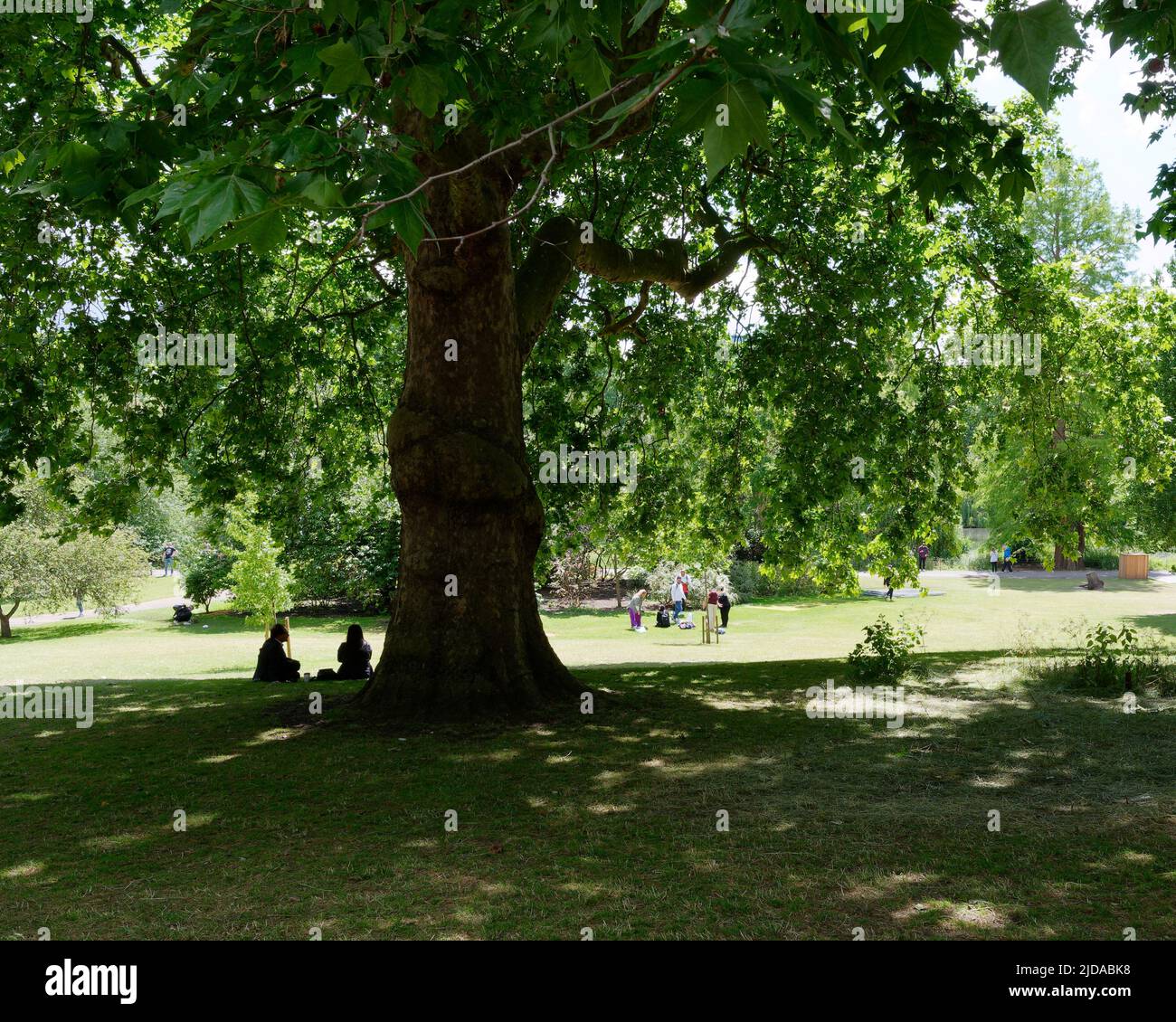 People relaxing under the tree hi-res stock photography and images - Alamy