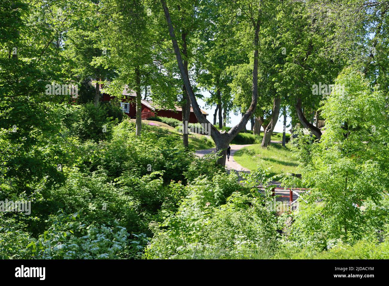 Finland in history hi-res stock photography and images - Alamy