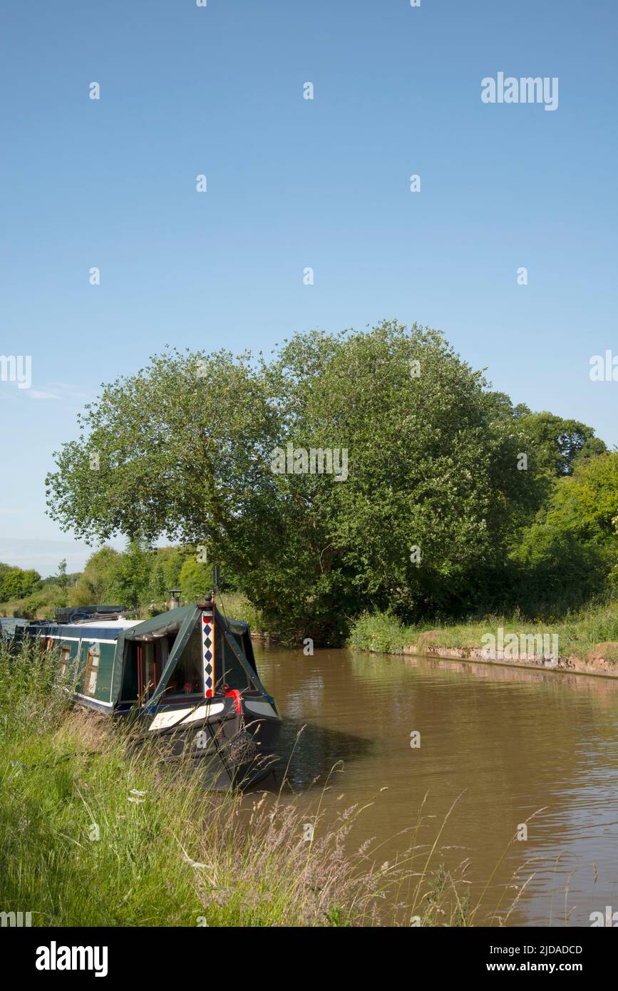 A narrowboat moored by the towpath on the Middlewich branch of the ...