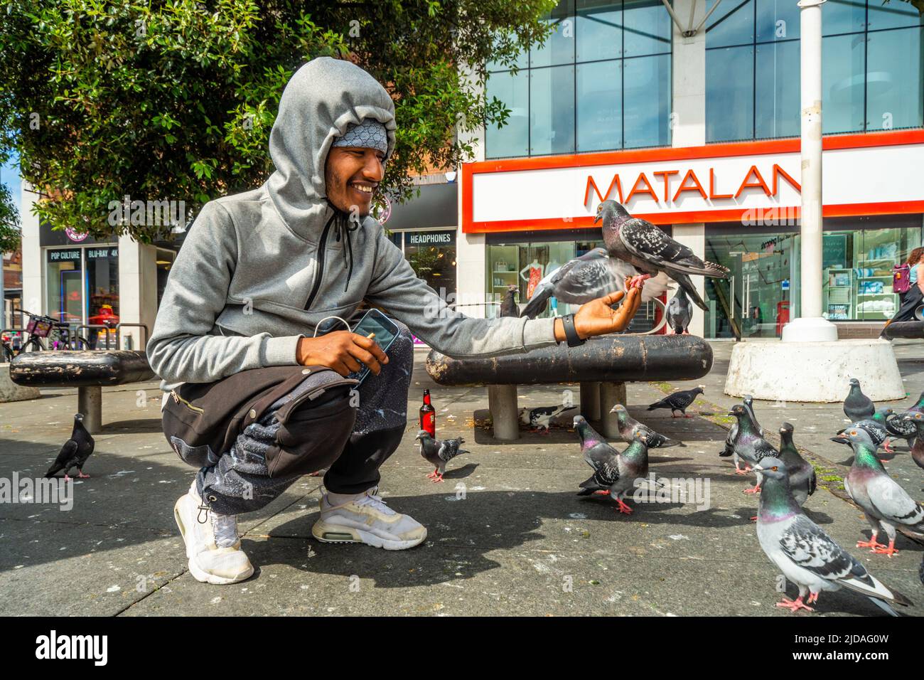 Pigeon man hi-res stock photography and images - Alamy