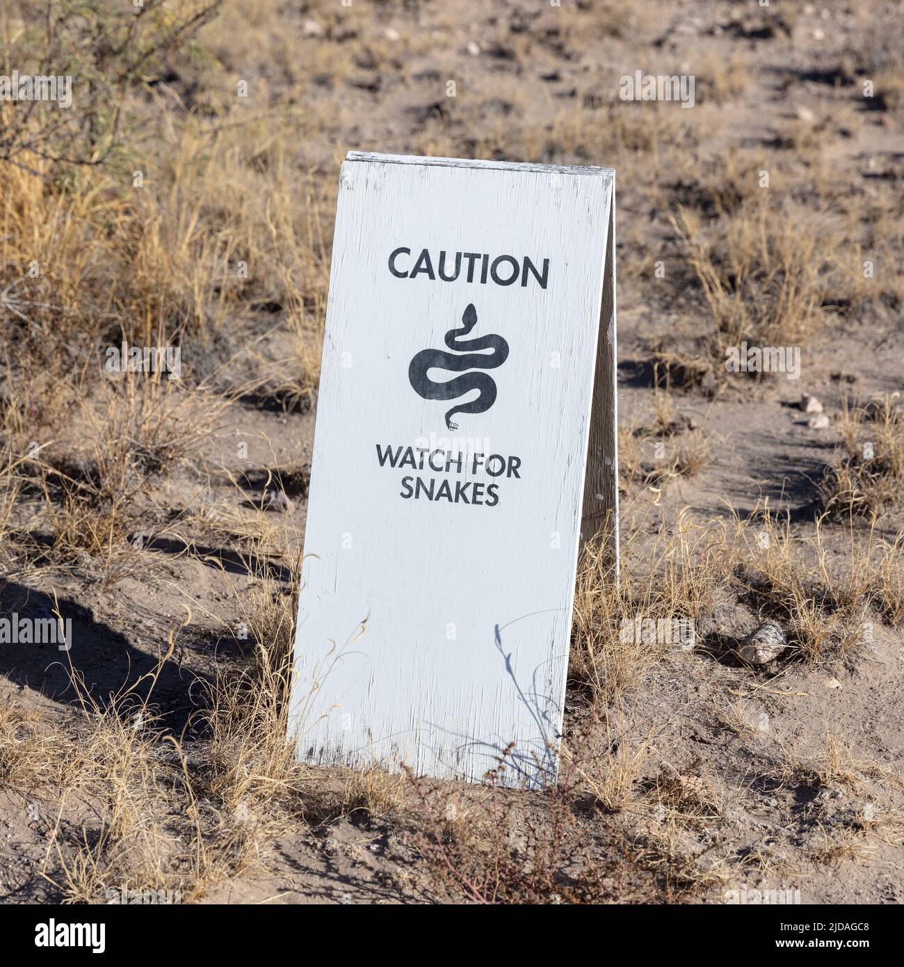 Caution watch for snakes sign in the desert Stock Photo - Alamy