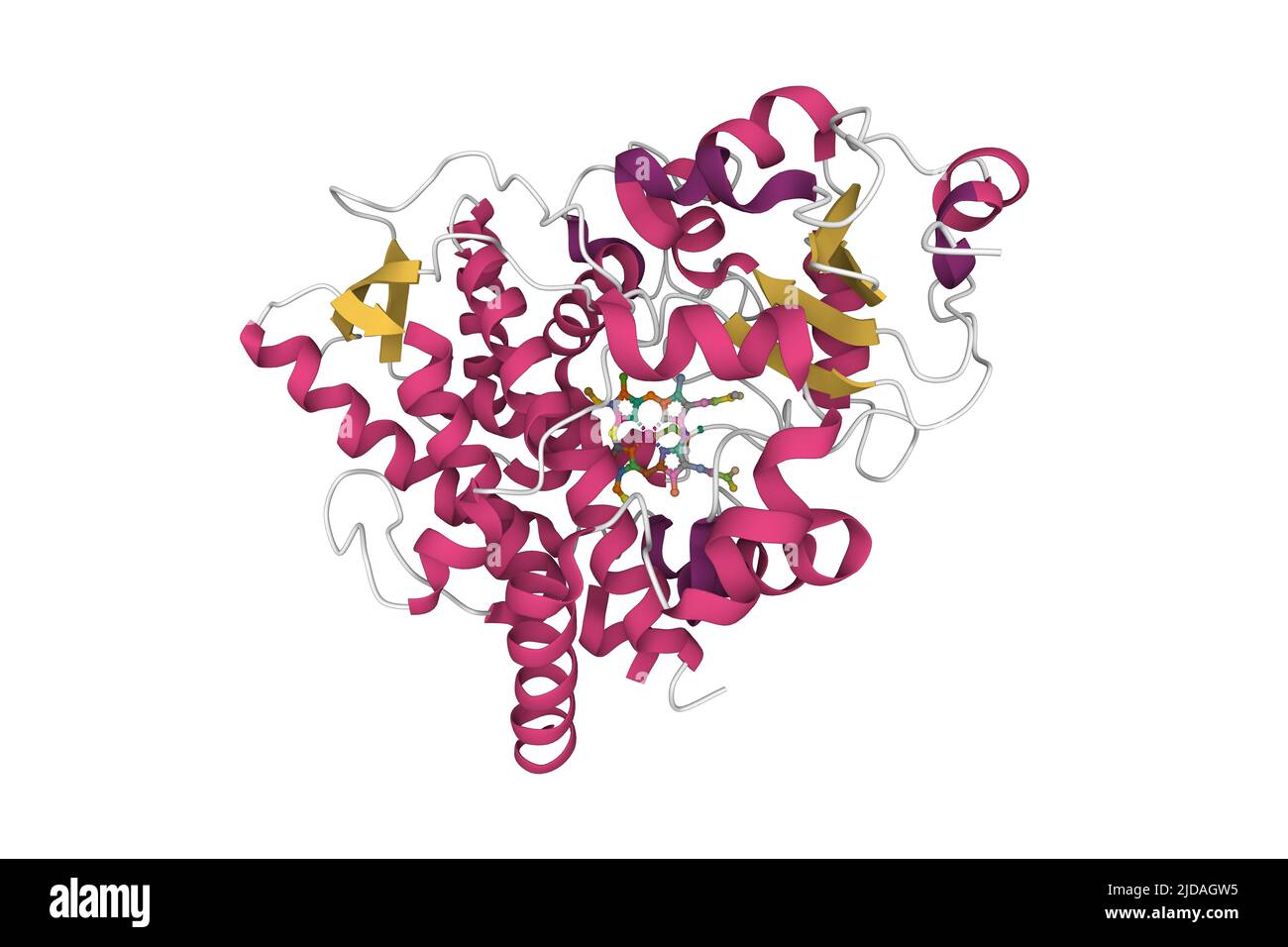 Crystal structure of human cytochrome P450 3A4. 3D cartoon model, PDB ...