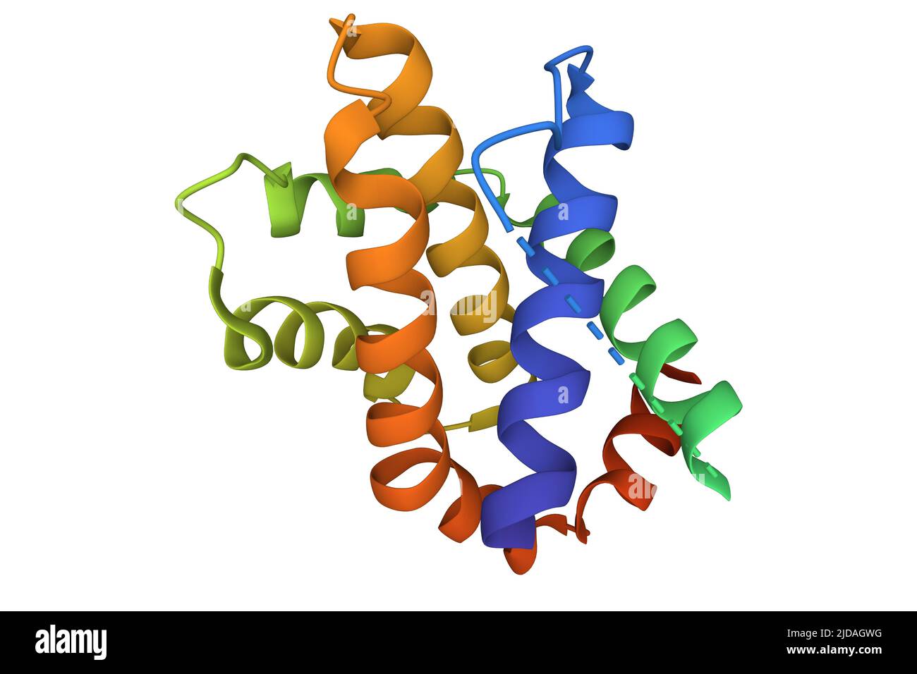 Structure of human apoptosis regulator Bcl-XL. 3D cartoon model ...