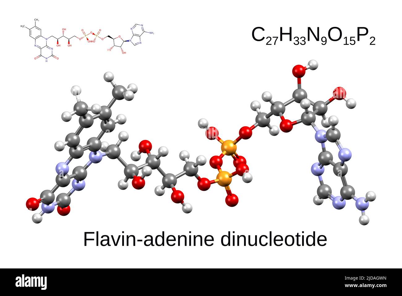 Adenine 3d Structure