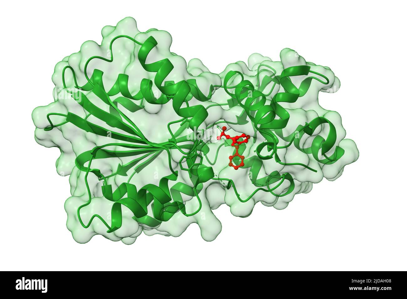 Histamine methyltransferase complexed with the antihistamine drug ...