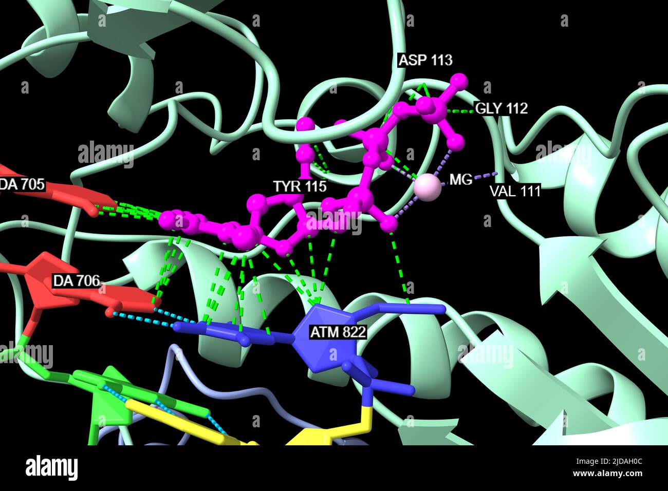 3d Dna Structure Labeled