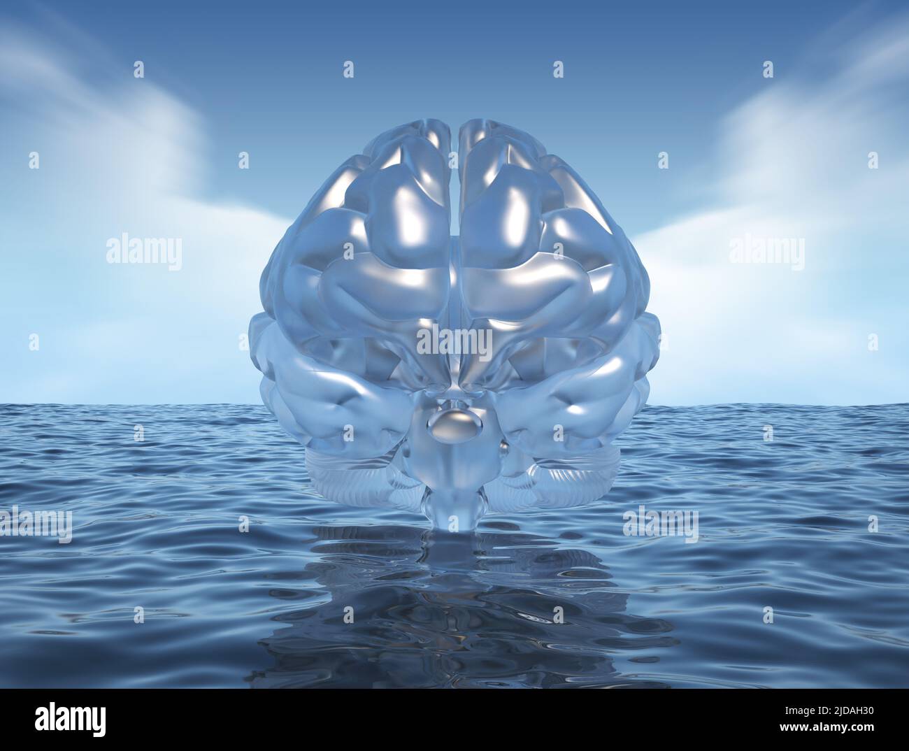 transparent human brain on the sea horizon front view. 3d rendering ...