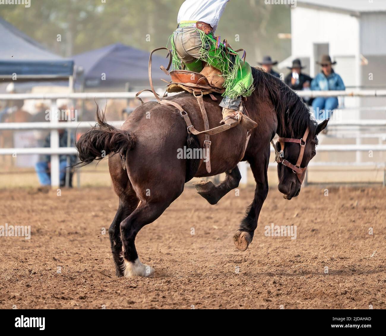 Cowboy riding a bucking bronc at a country rodeo Australia Stock Photo ...