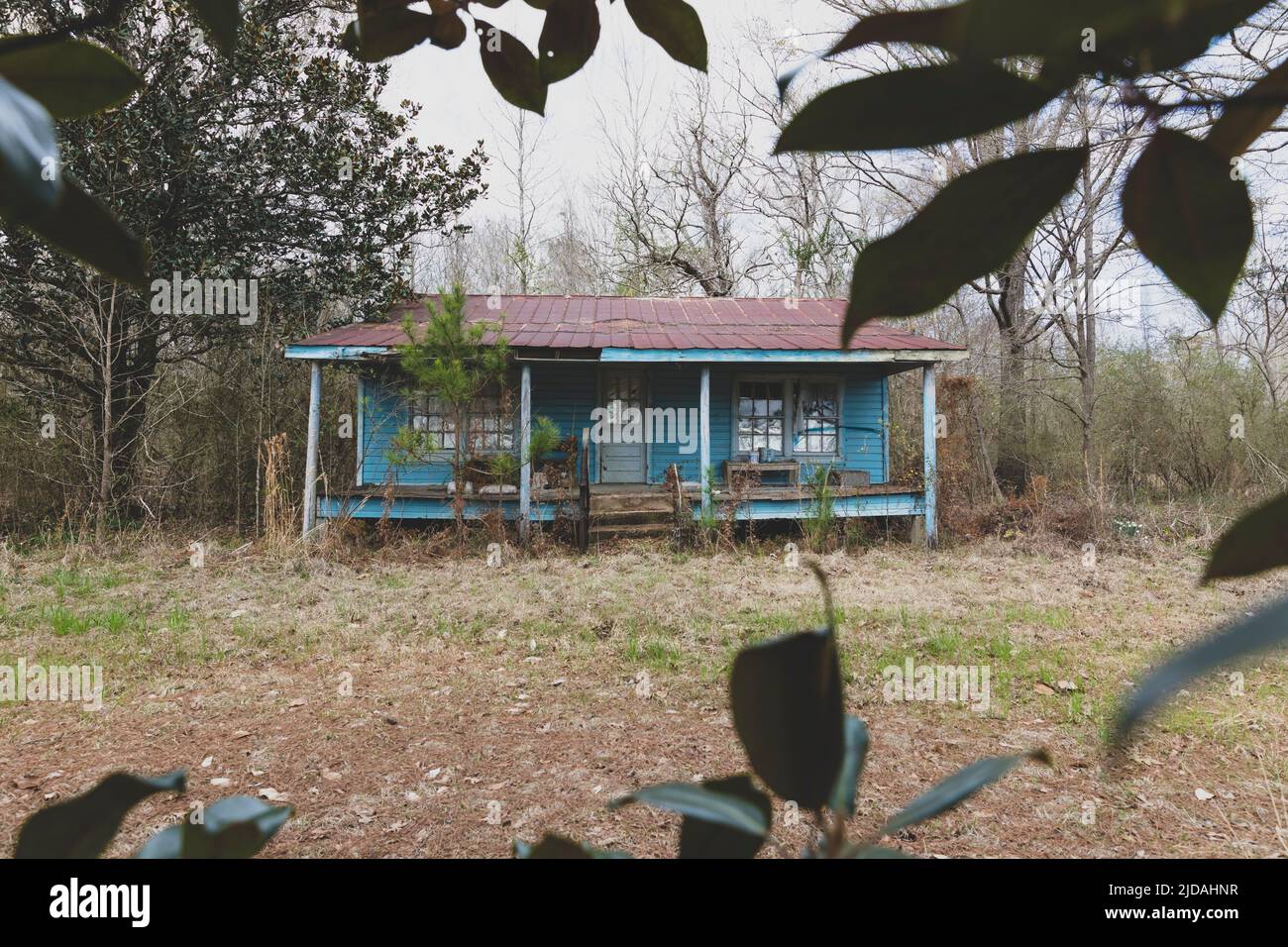 A rural homestead or small house abandoned and crumbling, overgrown ...