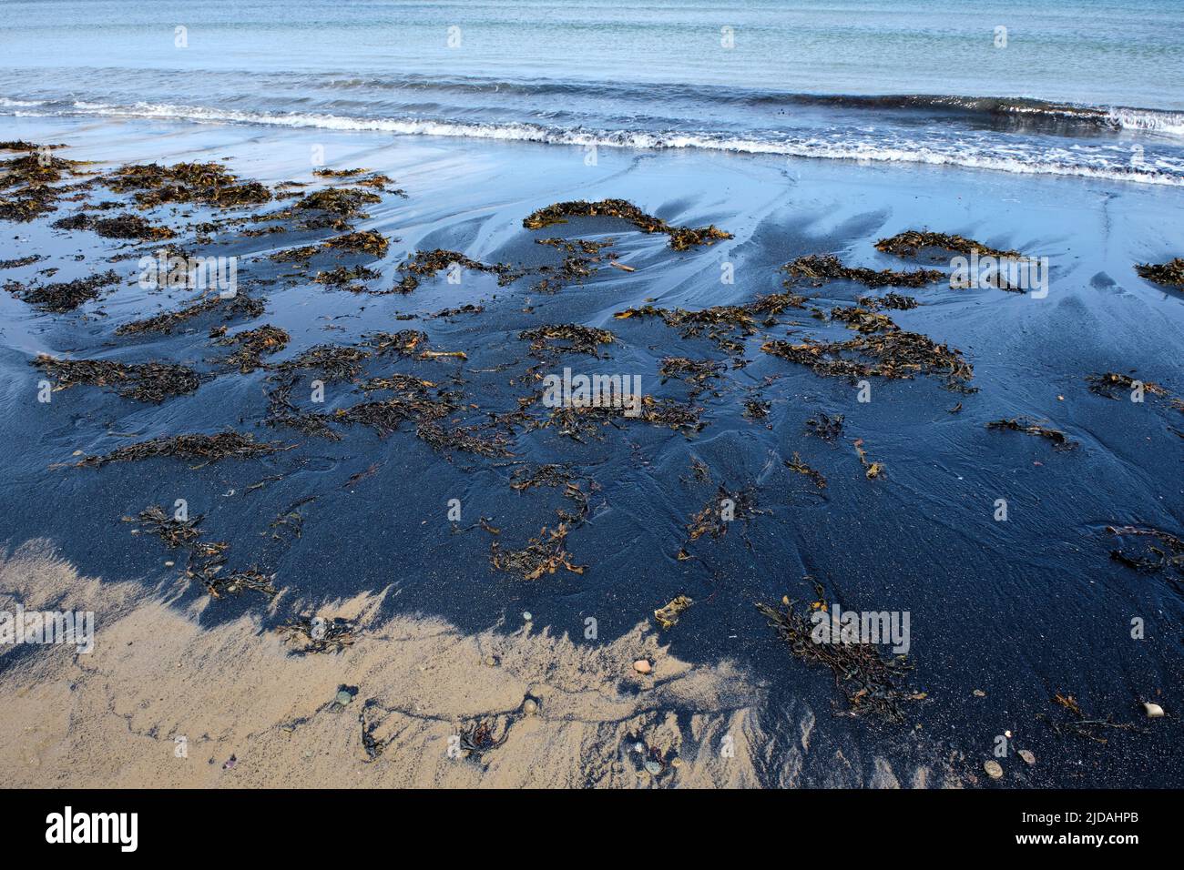 Coal dust washes up onto Dominion Beach in northeast Cape Breton ...
