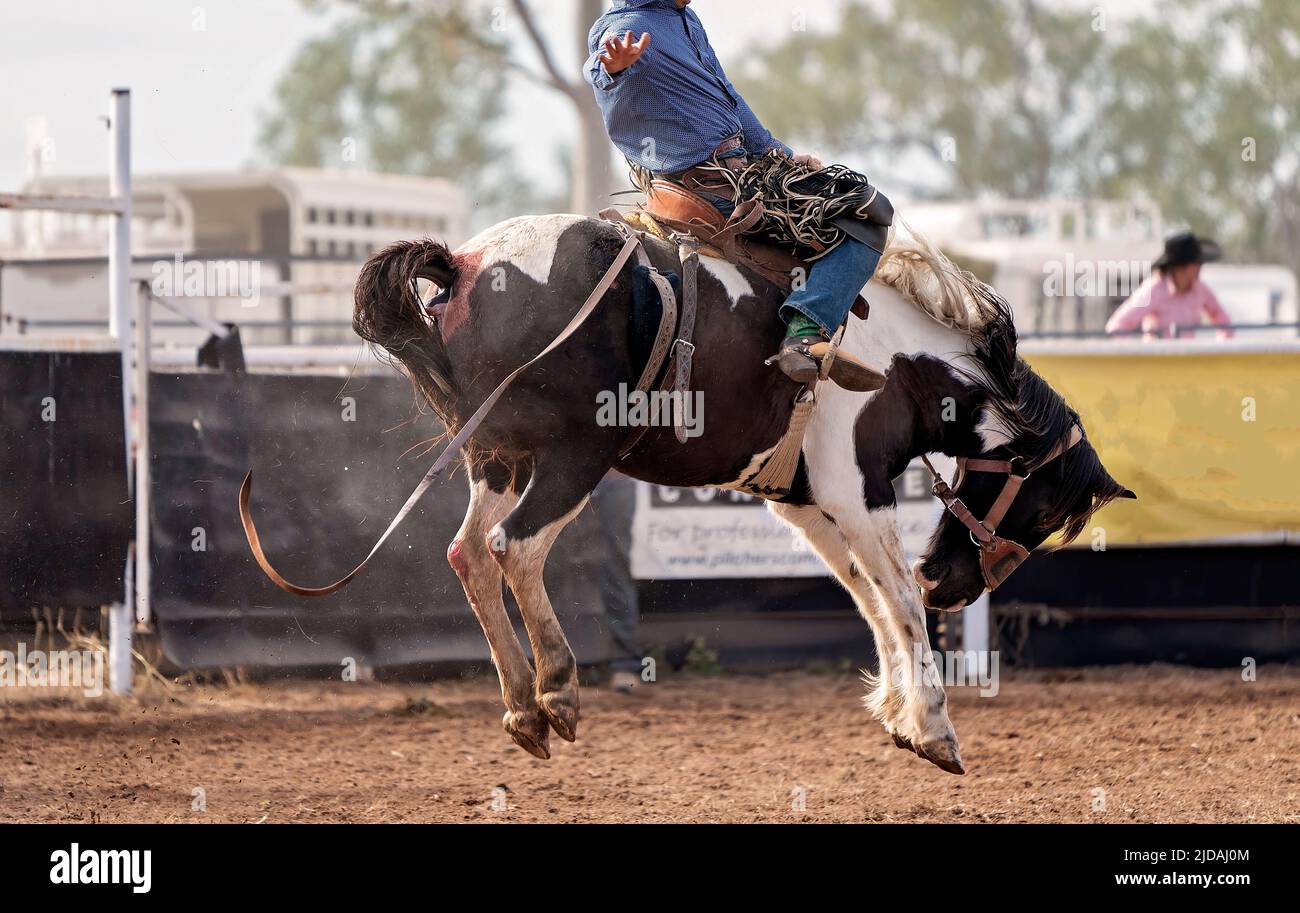 Cowboy riding a bucking bronc at a country rodeo Australia Stock Photo ...