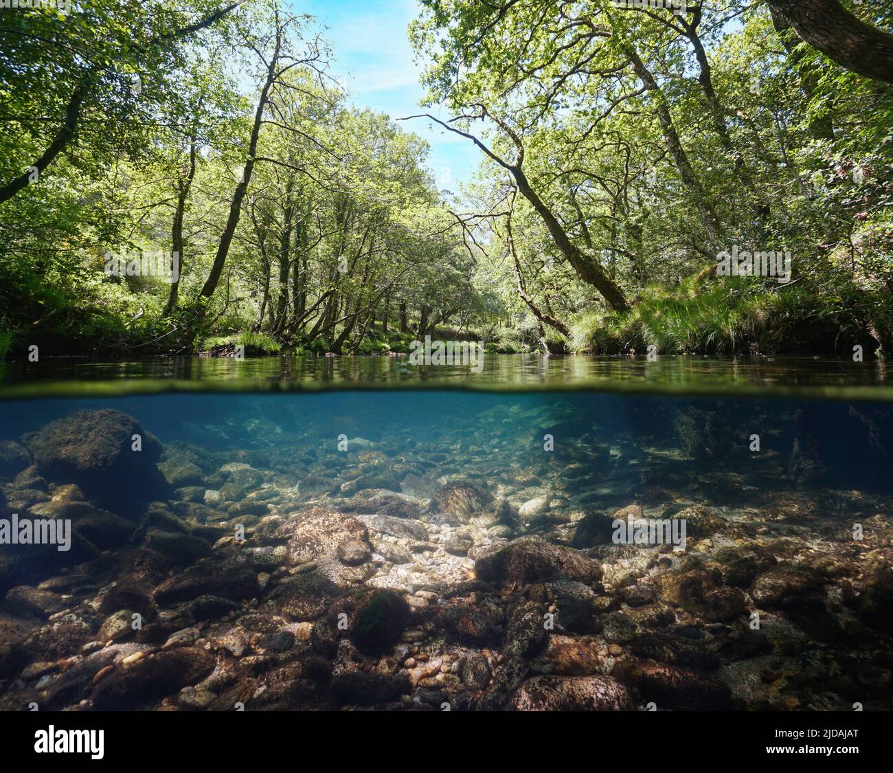 Underwater view woodland stream river hi-res stock photography and ...