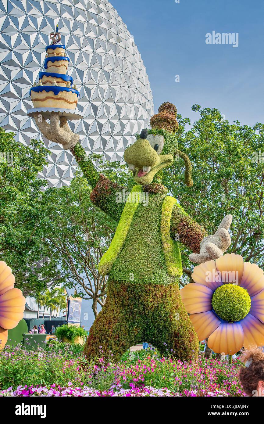 Goofy character topairy displayed at Epcot at part of the Flower and ...