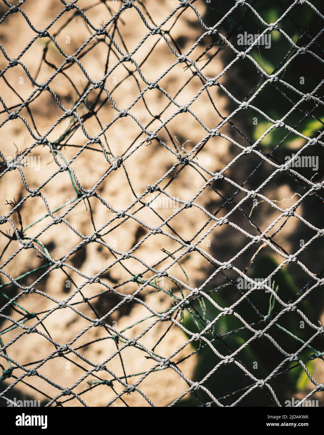 VERTICAL abstract close-up macro real photo beautiful wallpaper ...