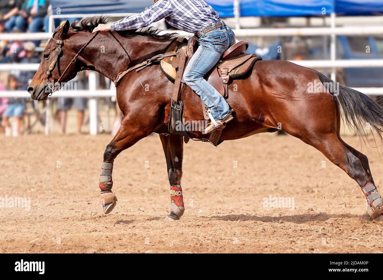 Rider competing in barrel race on horse at country rodeo Australia ...