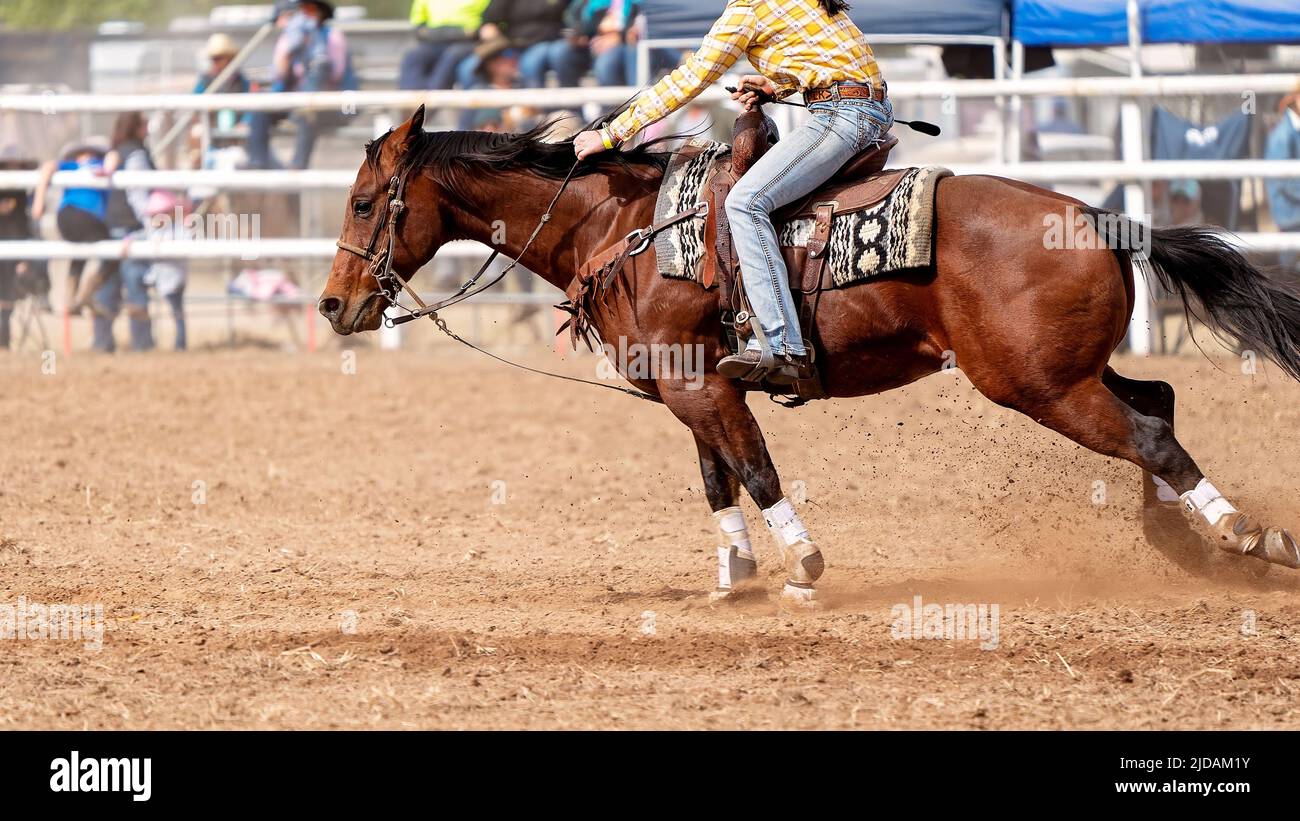 Rider competing in barrel race on horse at country rodeo Australia ...