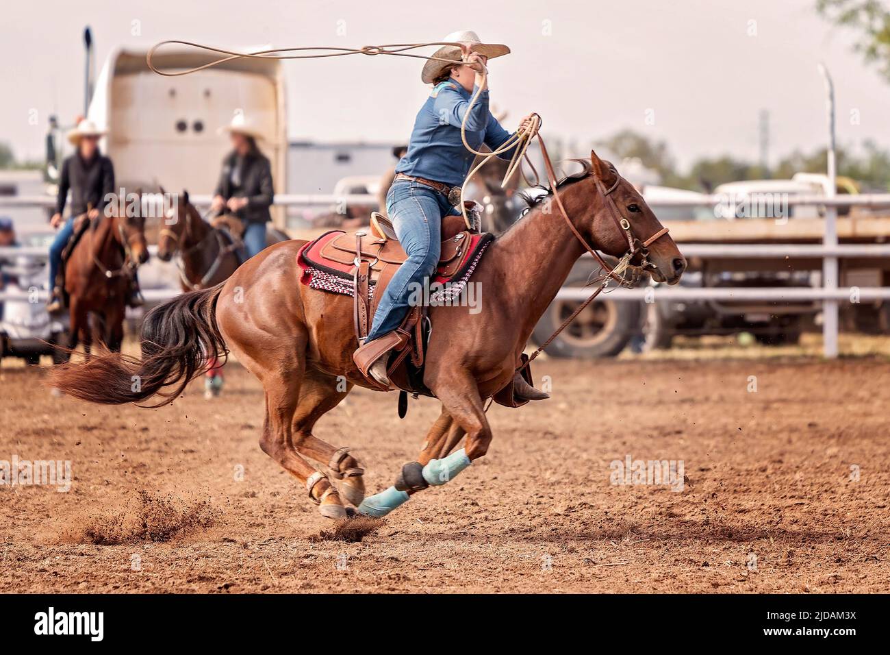 Female Rider competing in barrel race on horse at country rodeo ...