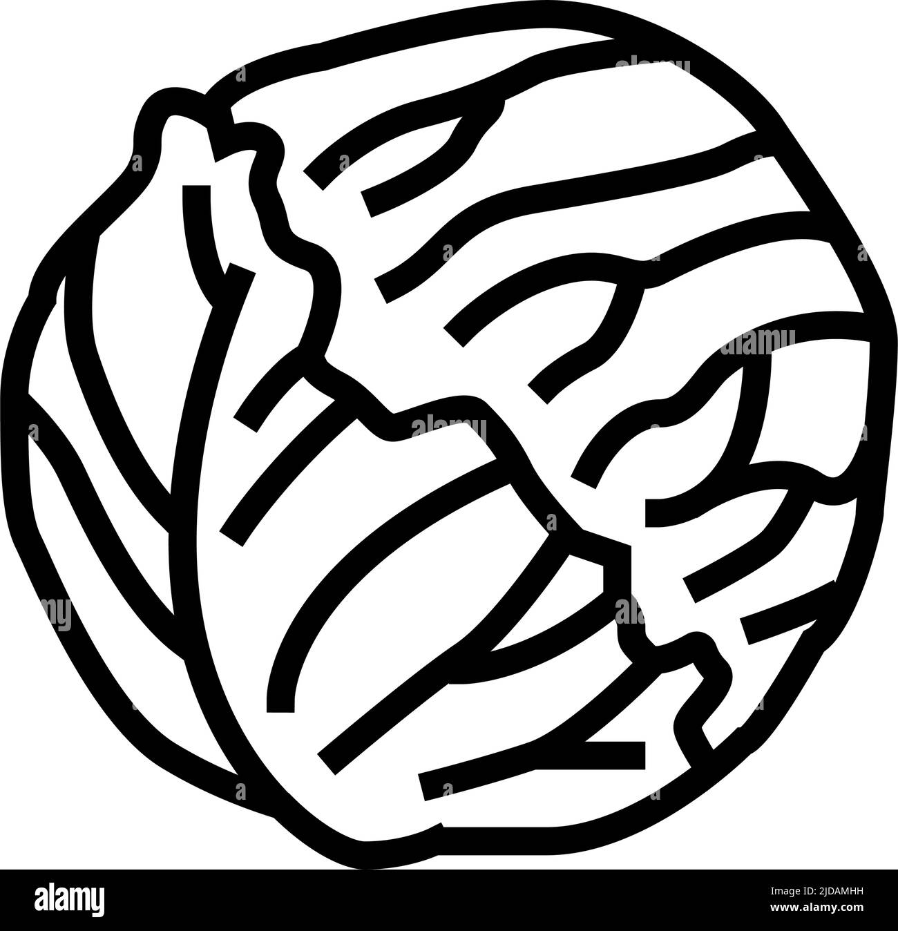 red cabbage line icon vector illustration Stock Vector Image & Art - Alamy
