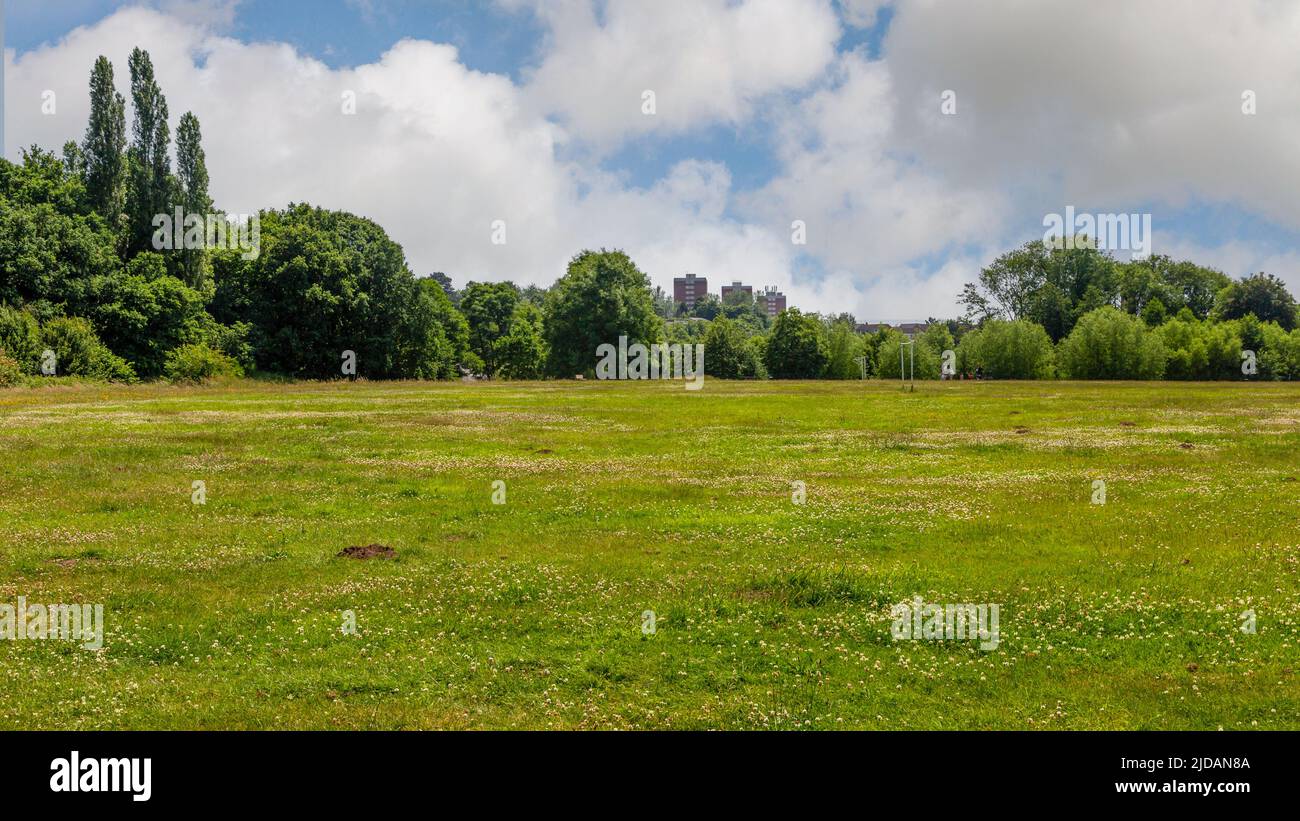 Wyre forest nature reserve hi-res stock photography and images - Alamy