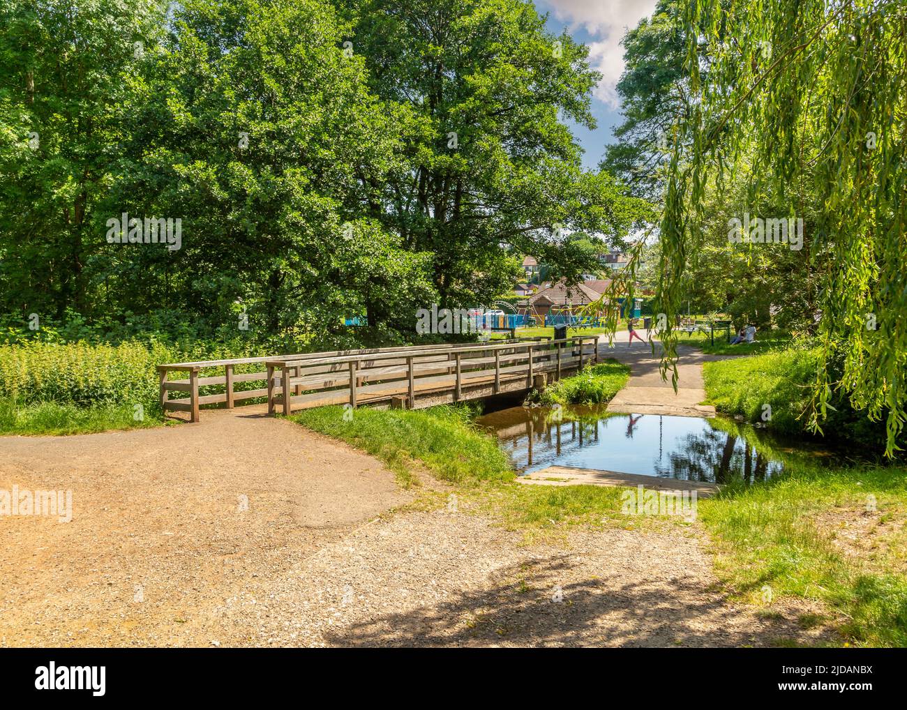 General woodland views in Springfield Park, Kidderminster ...