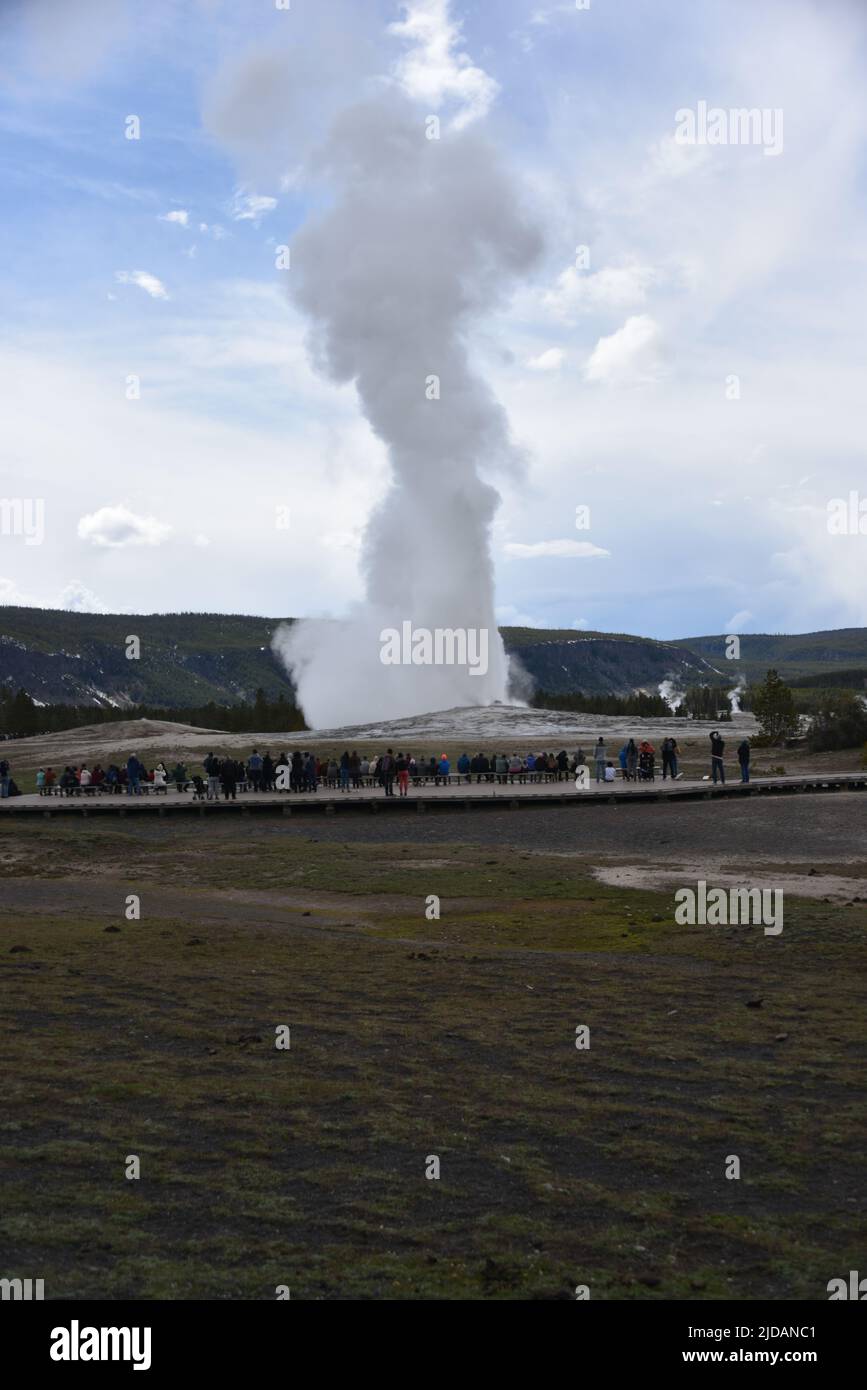 Yellowstone National Park. USA. 5/21-26/2022. Old Faithful Geyser ...