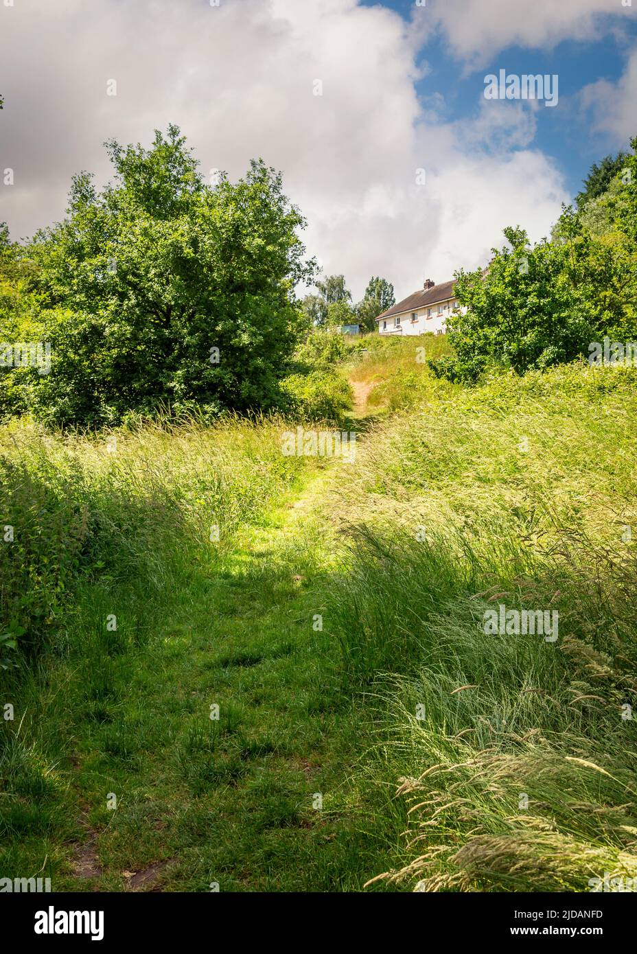 Wyre forest nature reserve hi-res stock photography and images - Alamy