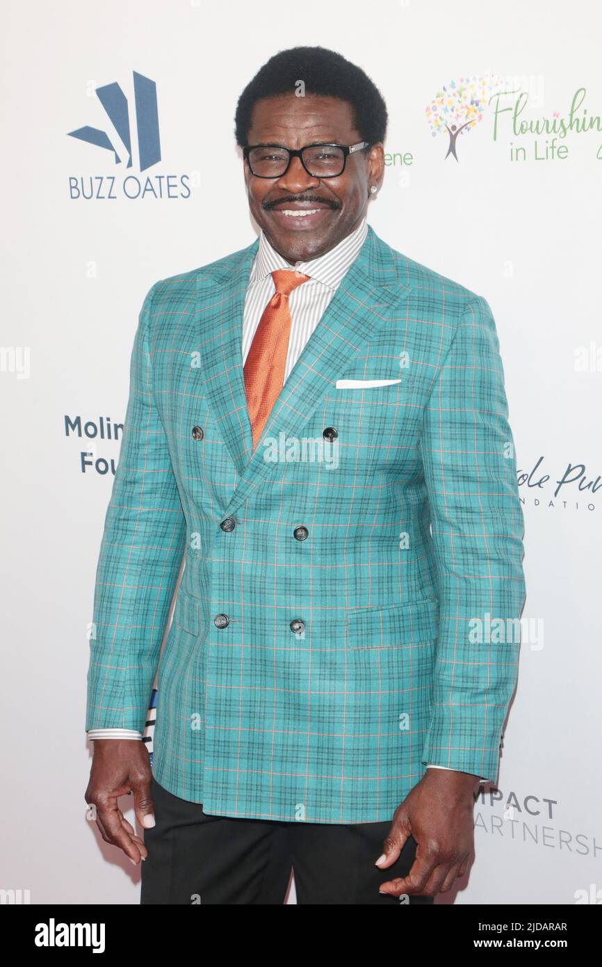 American sports commentator and former professional football wid hi-res ...