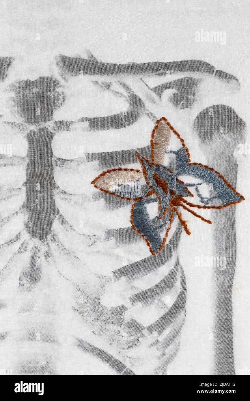 Skeleton covered with embroidered flowers and butterflies Stock Photo ...