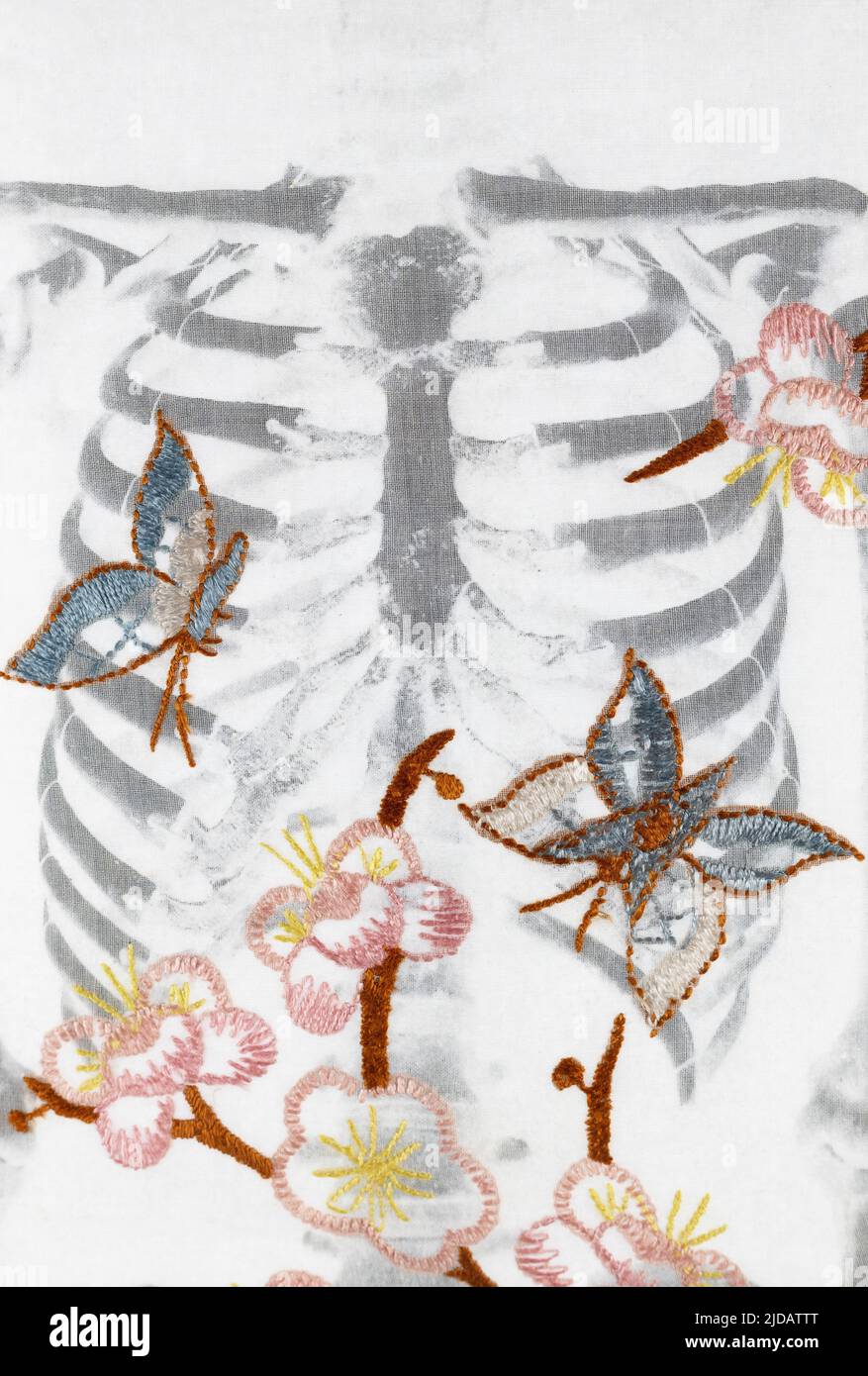Skeleton covered with embroidered flowers and butterflies Stock Photo ...