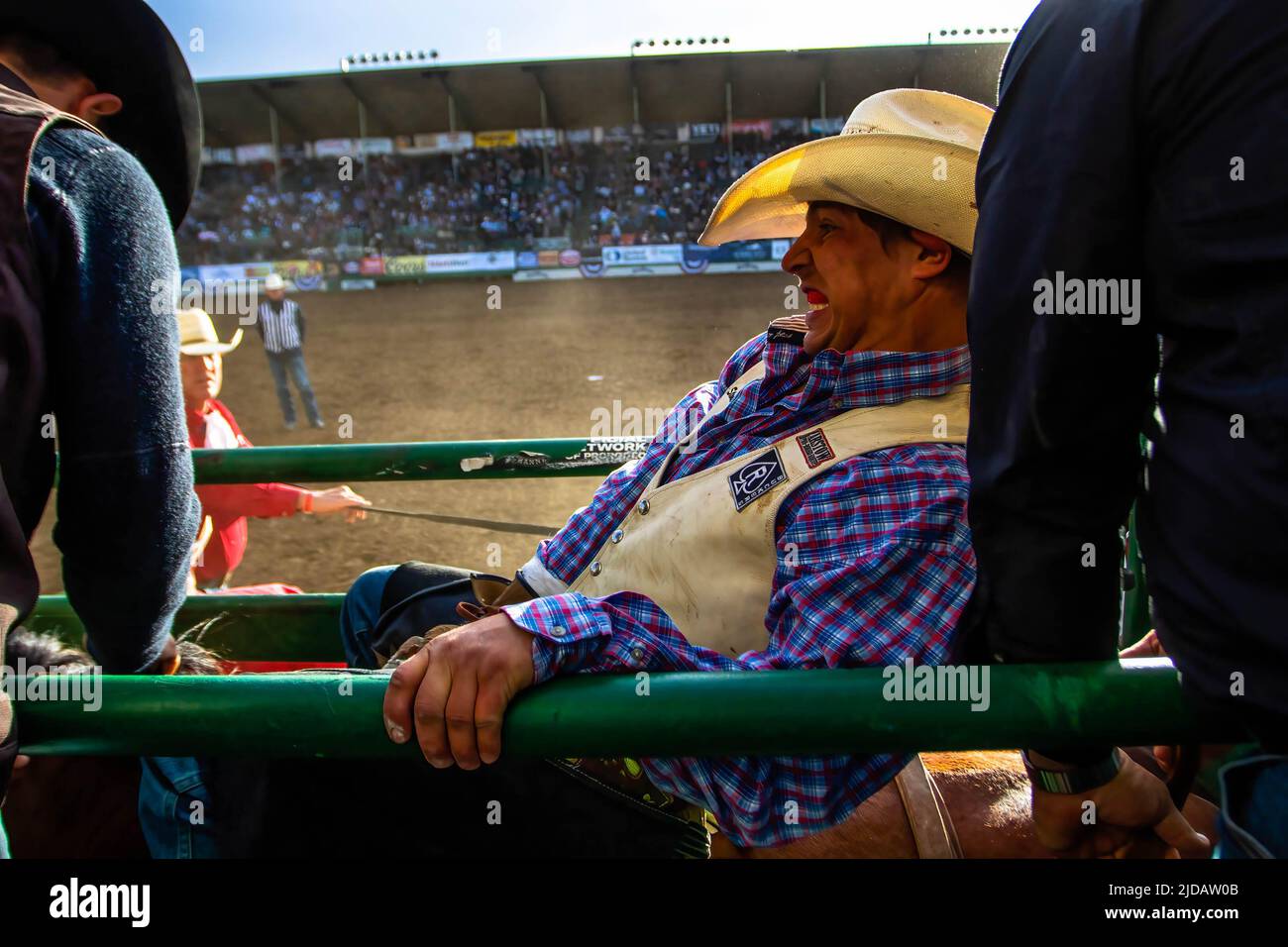 Clay Stone prepares for a bareback ride during the Reno Rodeo taking ...