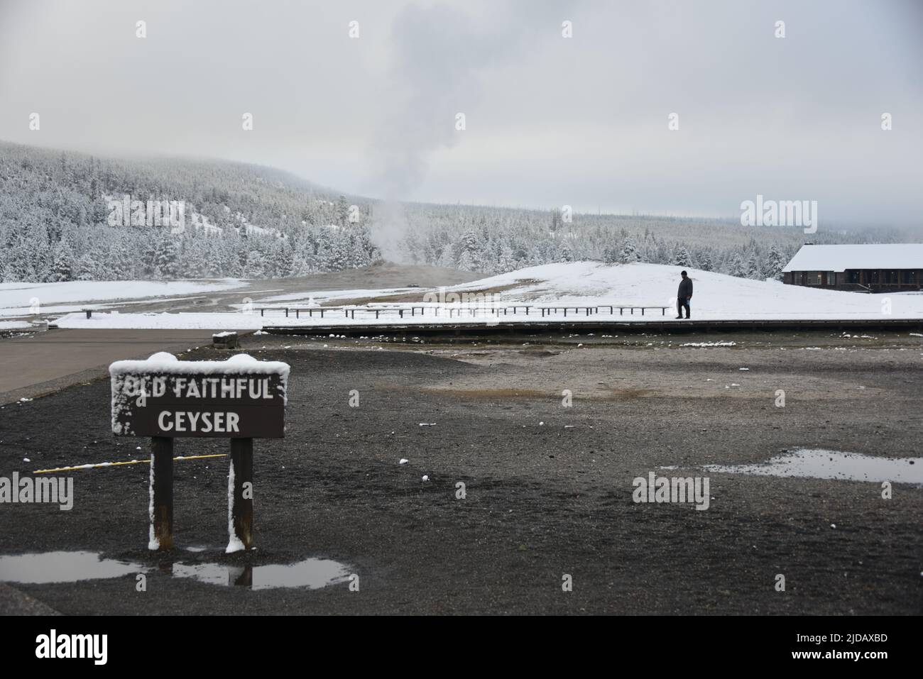 Yellowstone National Park. USA. 5/21-26/2022. Old Faithful Geyser ...